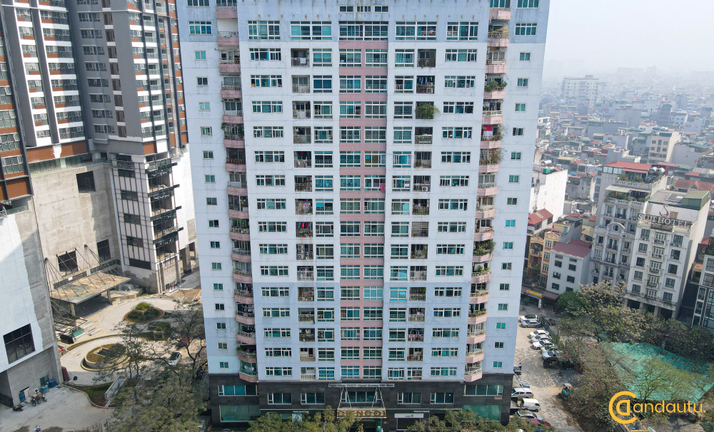 Chung cư Cienco1: Thông tin & Tiến độ